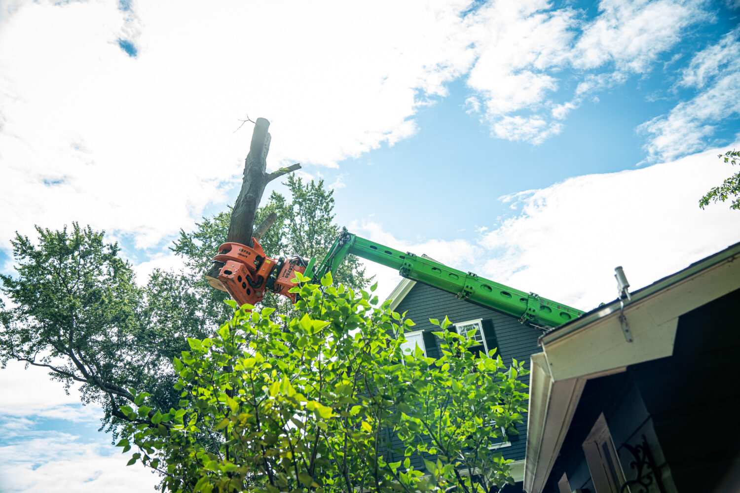 Safe tree removal with the Woodcracker® CS750 smart grapple saw ...